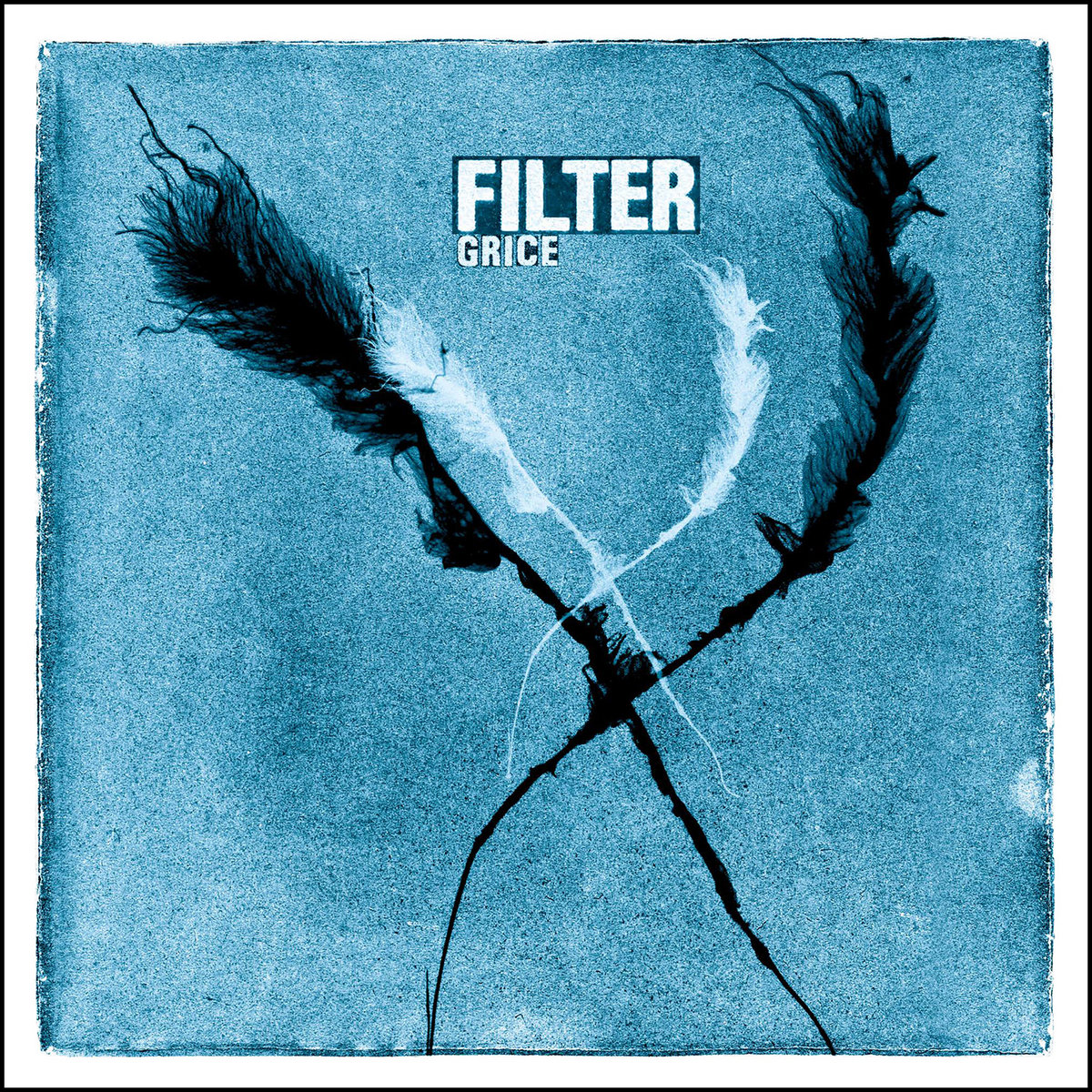 GRICE / Filter